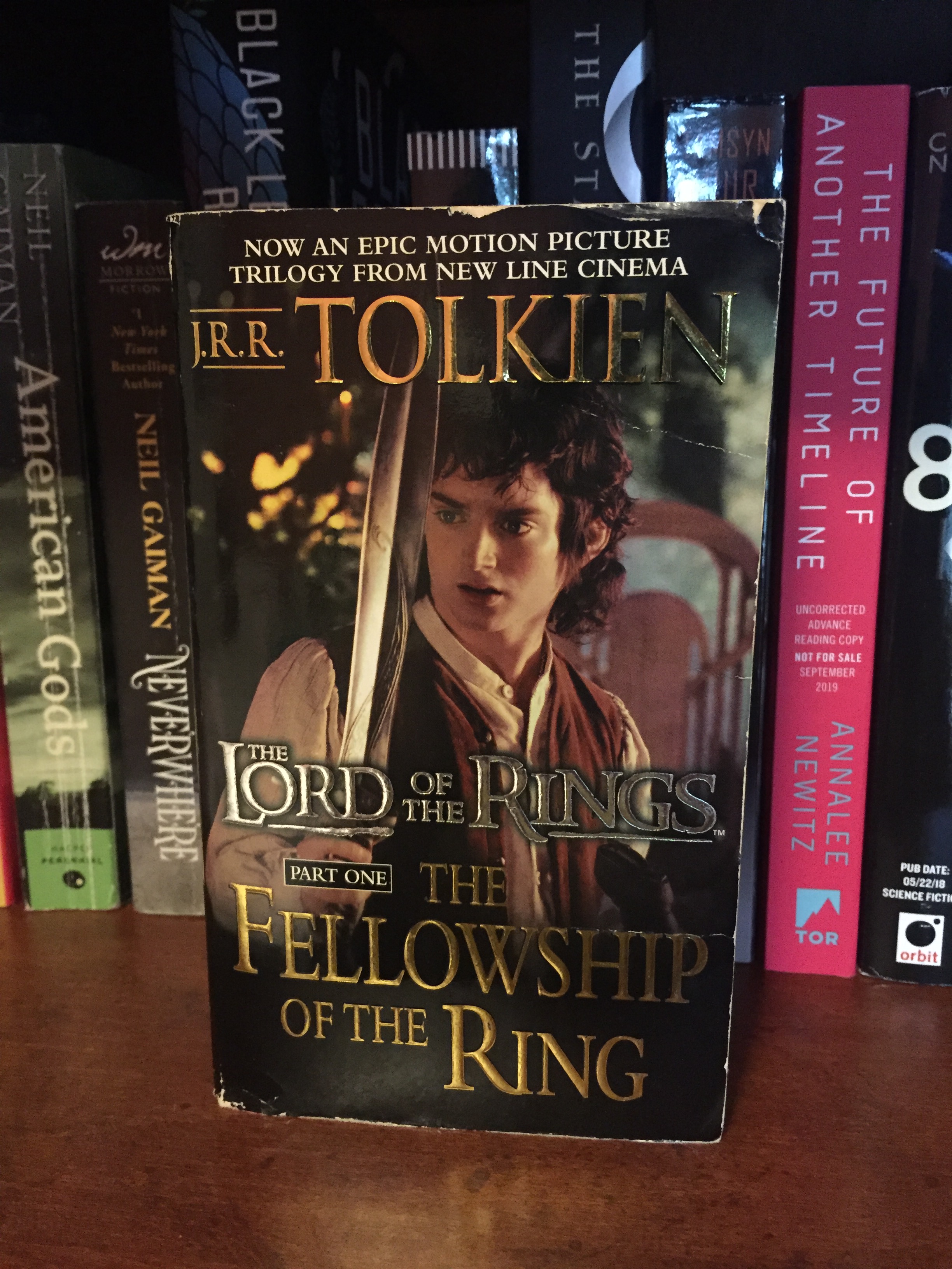 Book Review | The Fellowship of the Ring – Righter of Words