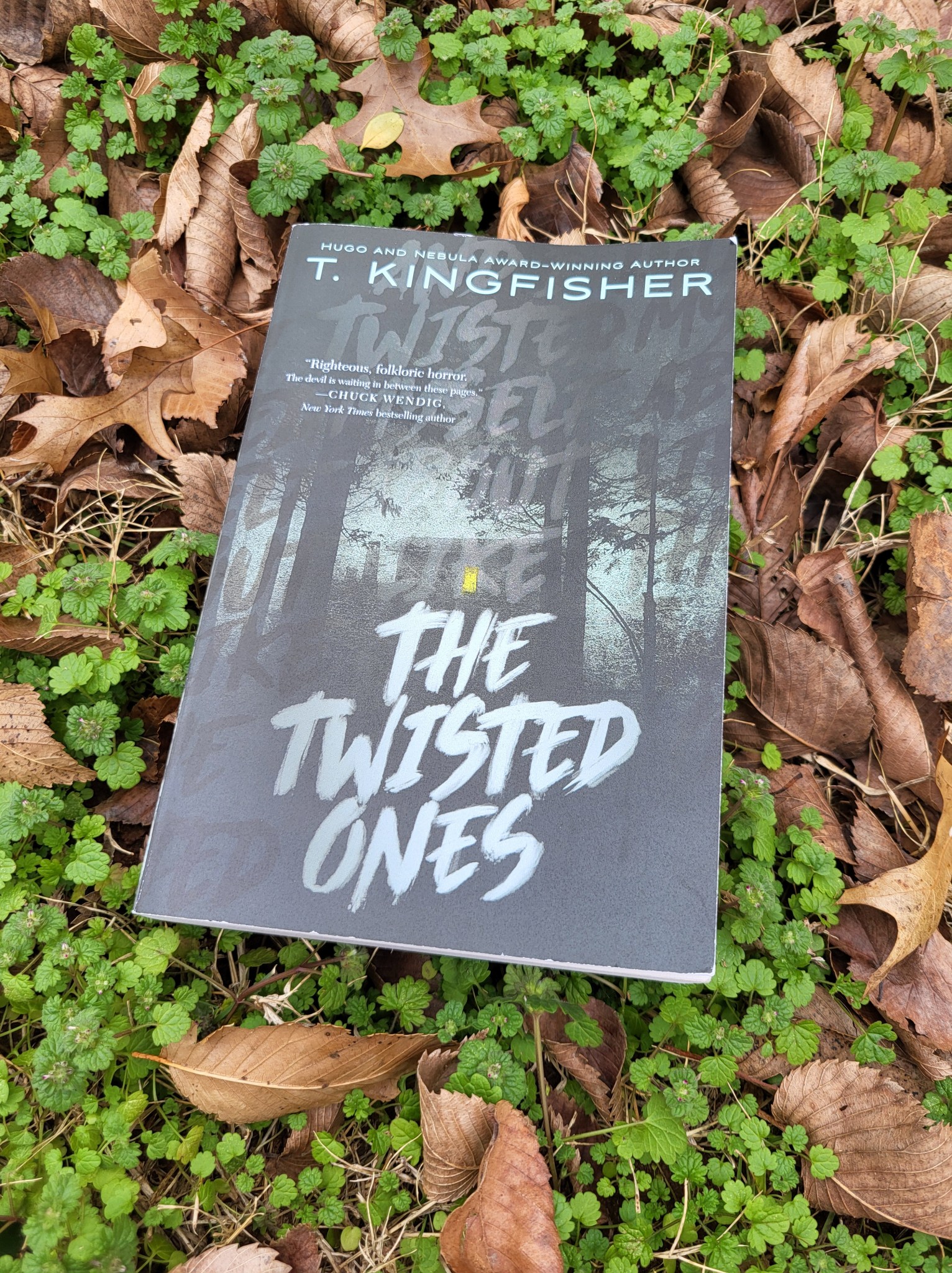 Book Review | The Twisted Ones – Righter of Words