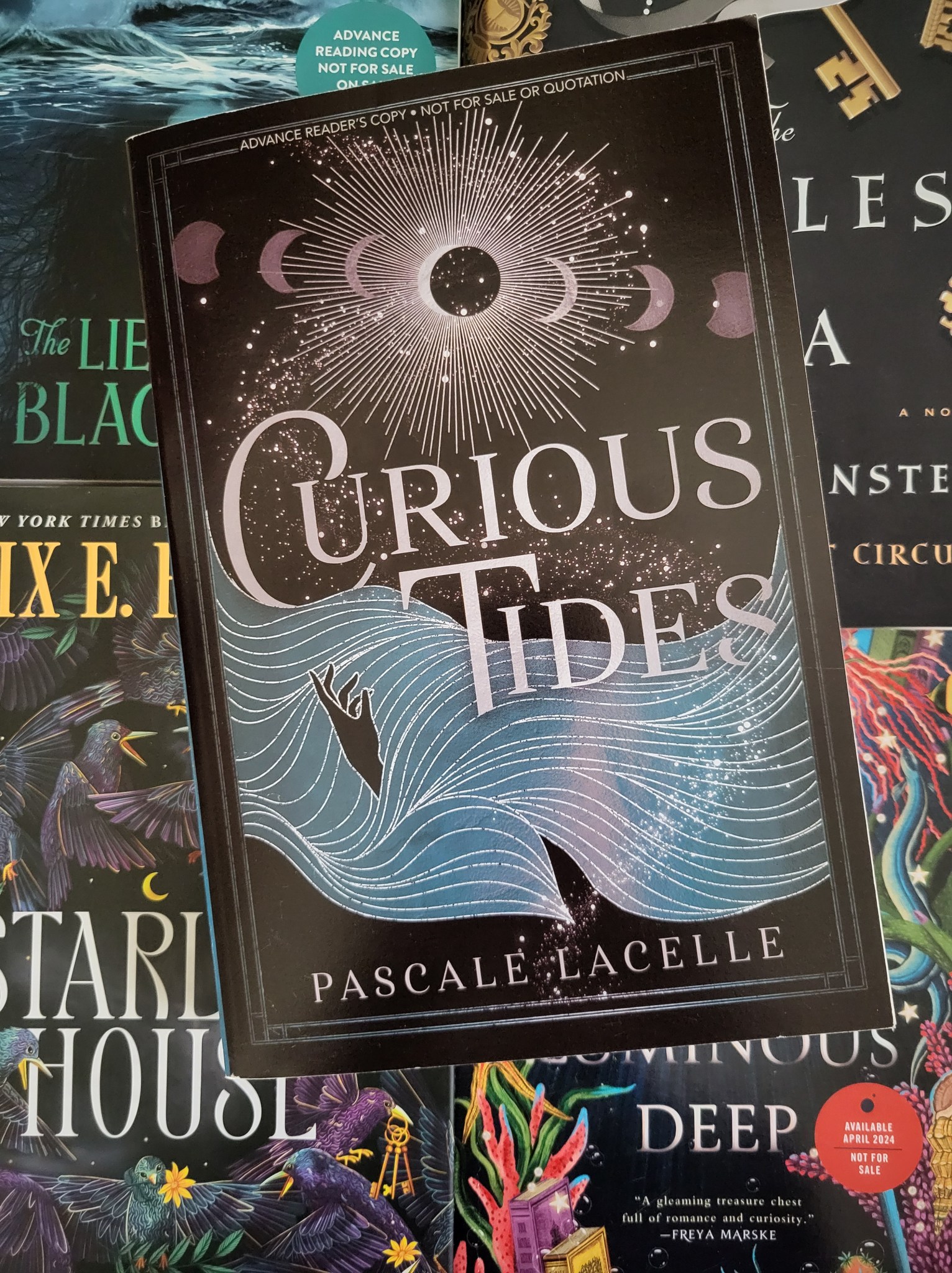 Book Review | Curious Tides – Righter of Words